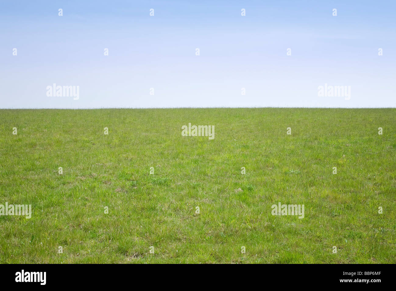 An empty grass covered field Stock Photo - Alamy