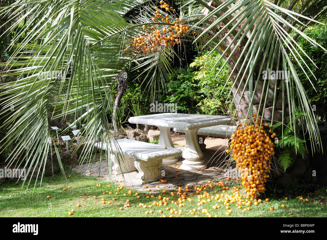 Seating under a tree hi-res stock photography and images - Alamy
