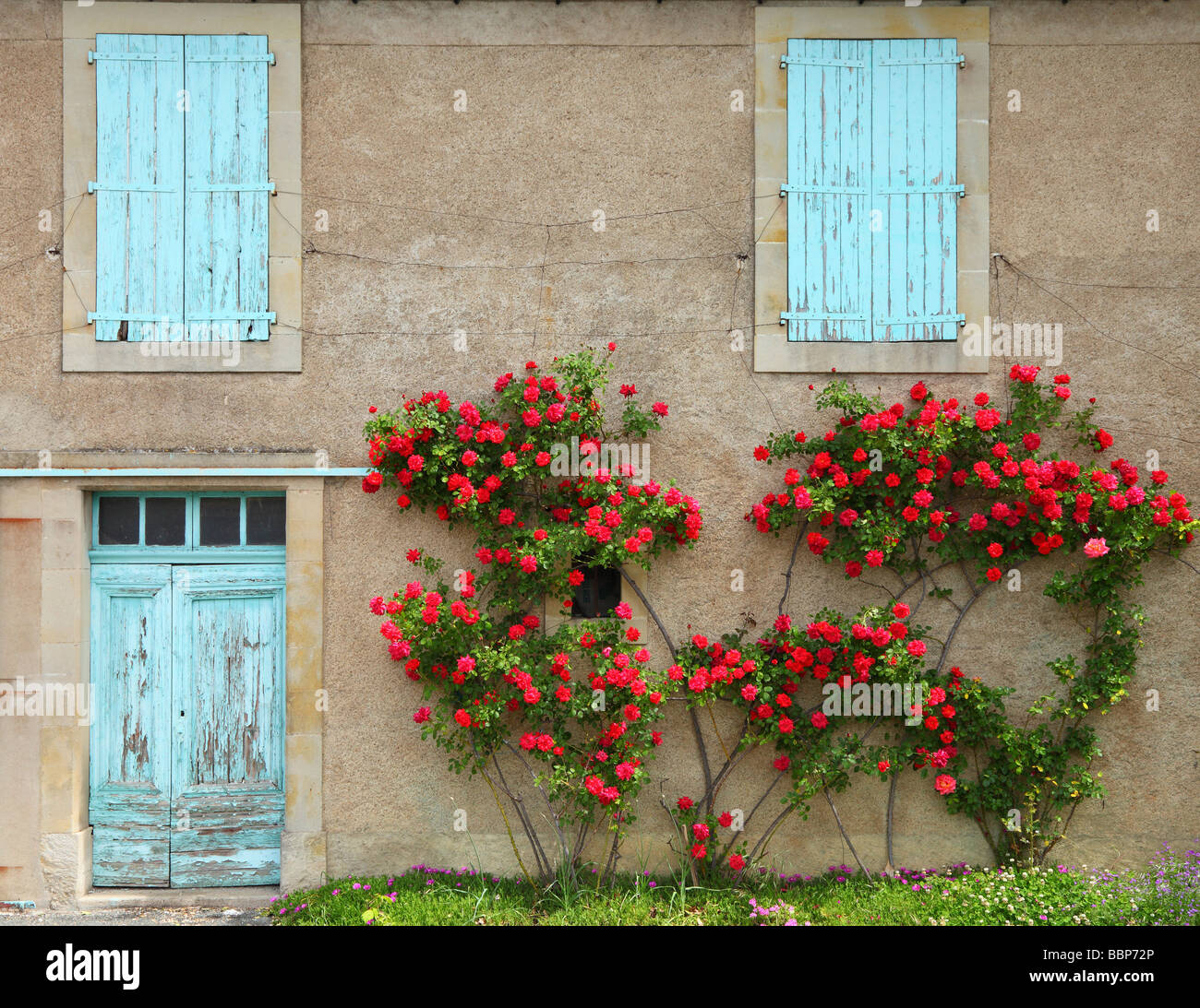 Roses door hi-res stock photography and images - Alamy