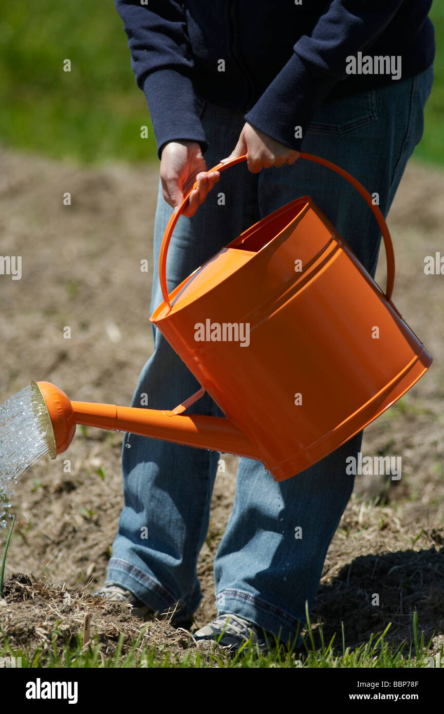 Plants being watered in a garden Stock Photo - Alamy