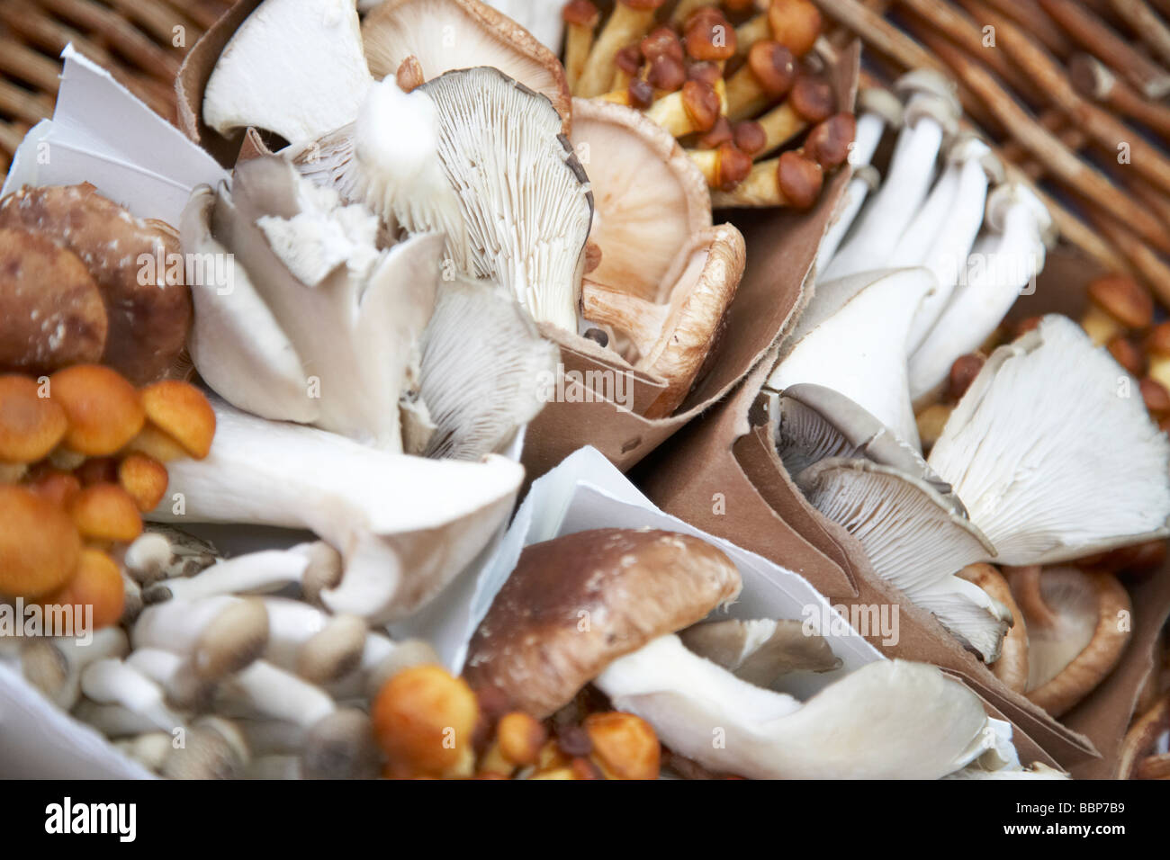 Market stall selling mushrooms hi-res stock photography and images - Alamy