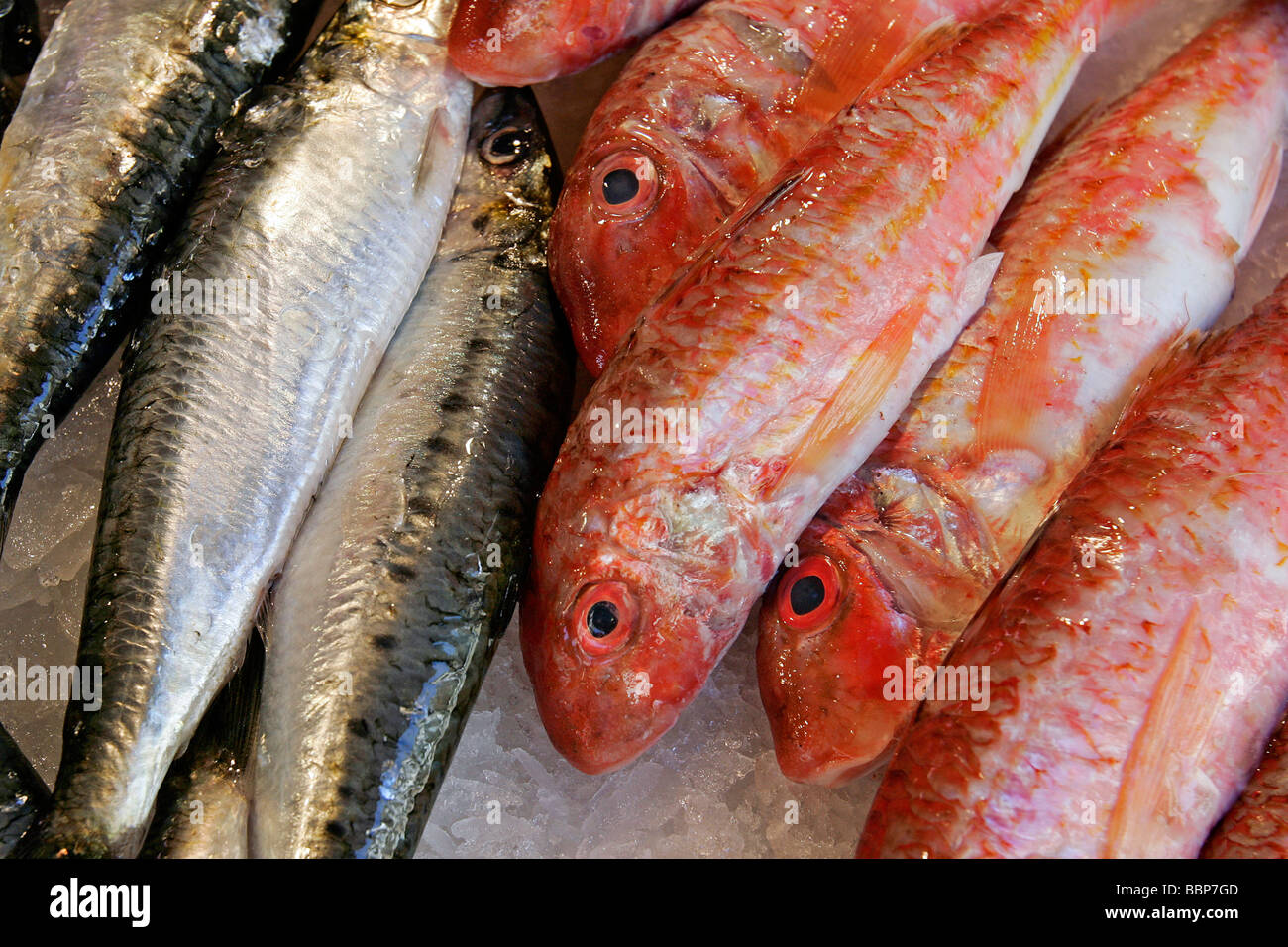 SARDINES AND RED MULLET, FISH STALL, THE MARKET IN DEAUVILLE, CALVADOS ...