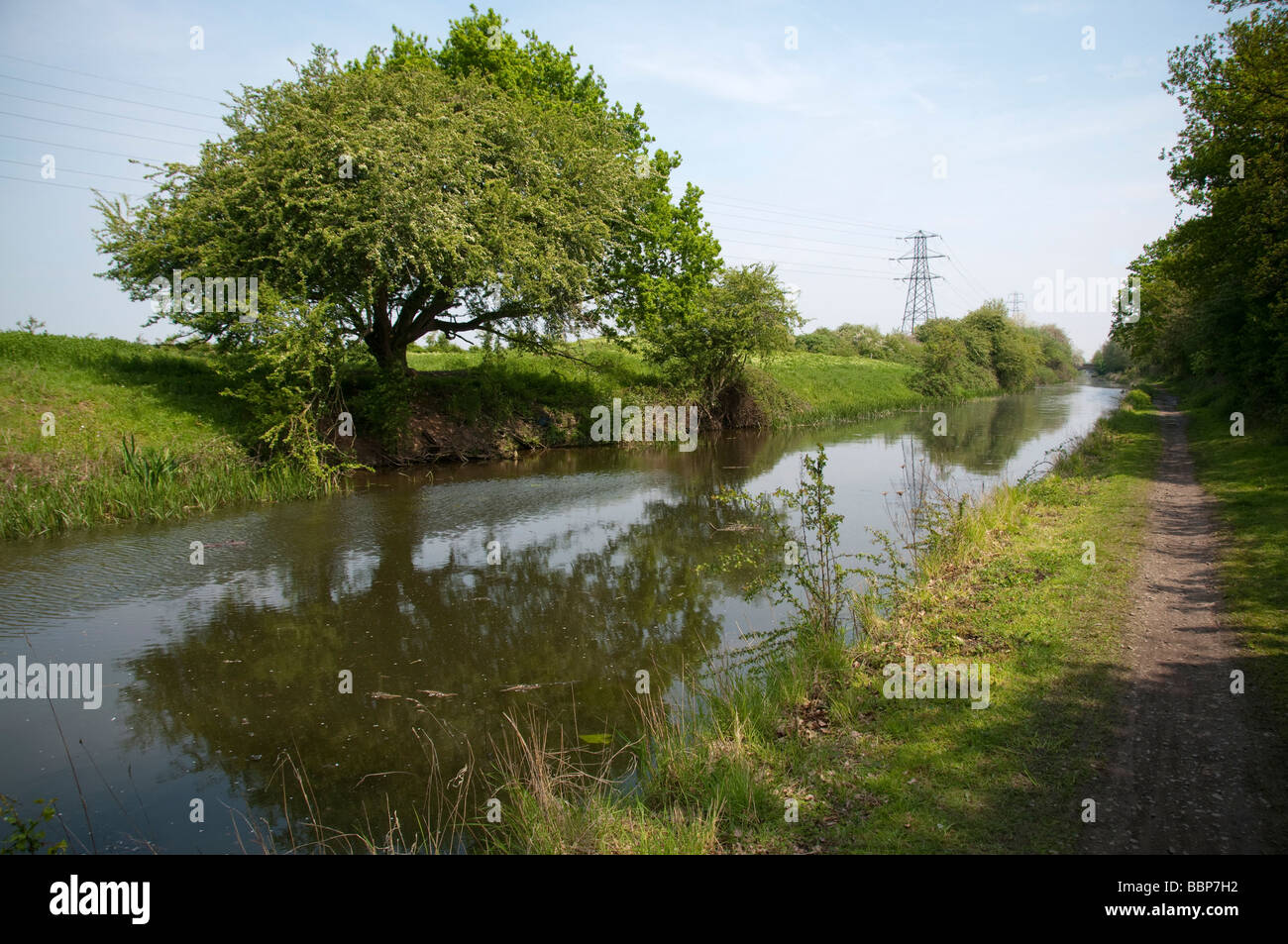 Towpath, buses and trees on the Slough arm of the Grand Union Canal ...