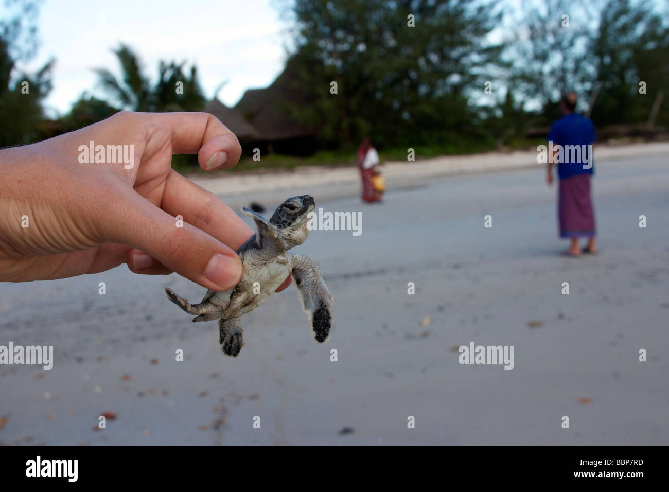 Funzi kenya hi-res stock photography and images - Alamy