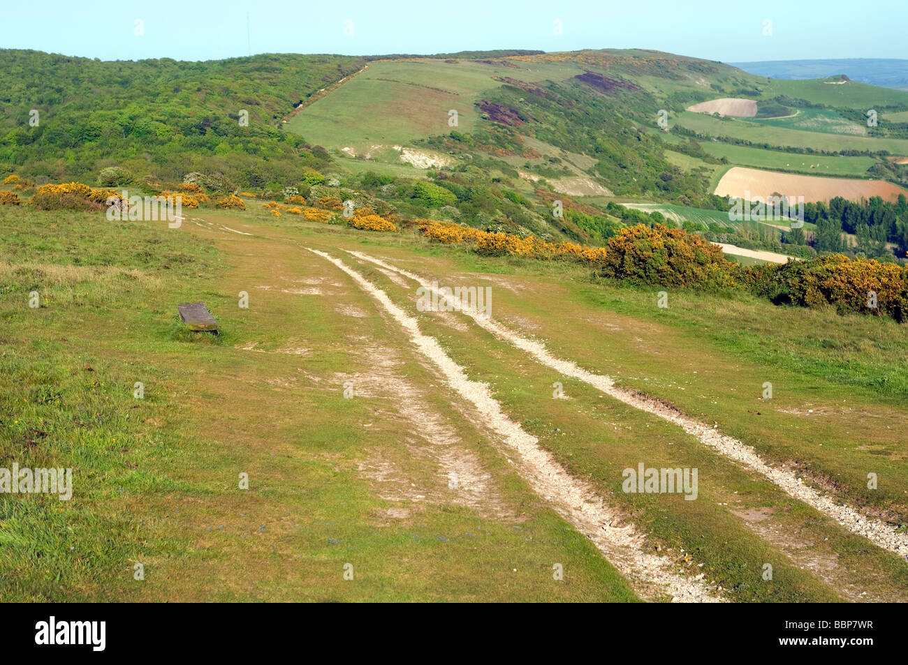 Tennyson Trail, Footpath, in Downs Landscape, Above Brook, Isle of ...