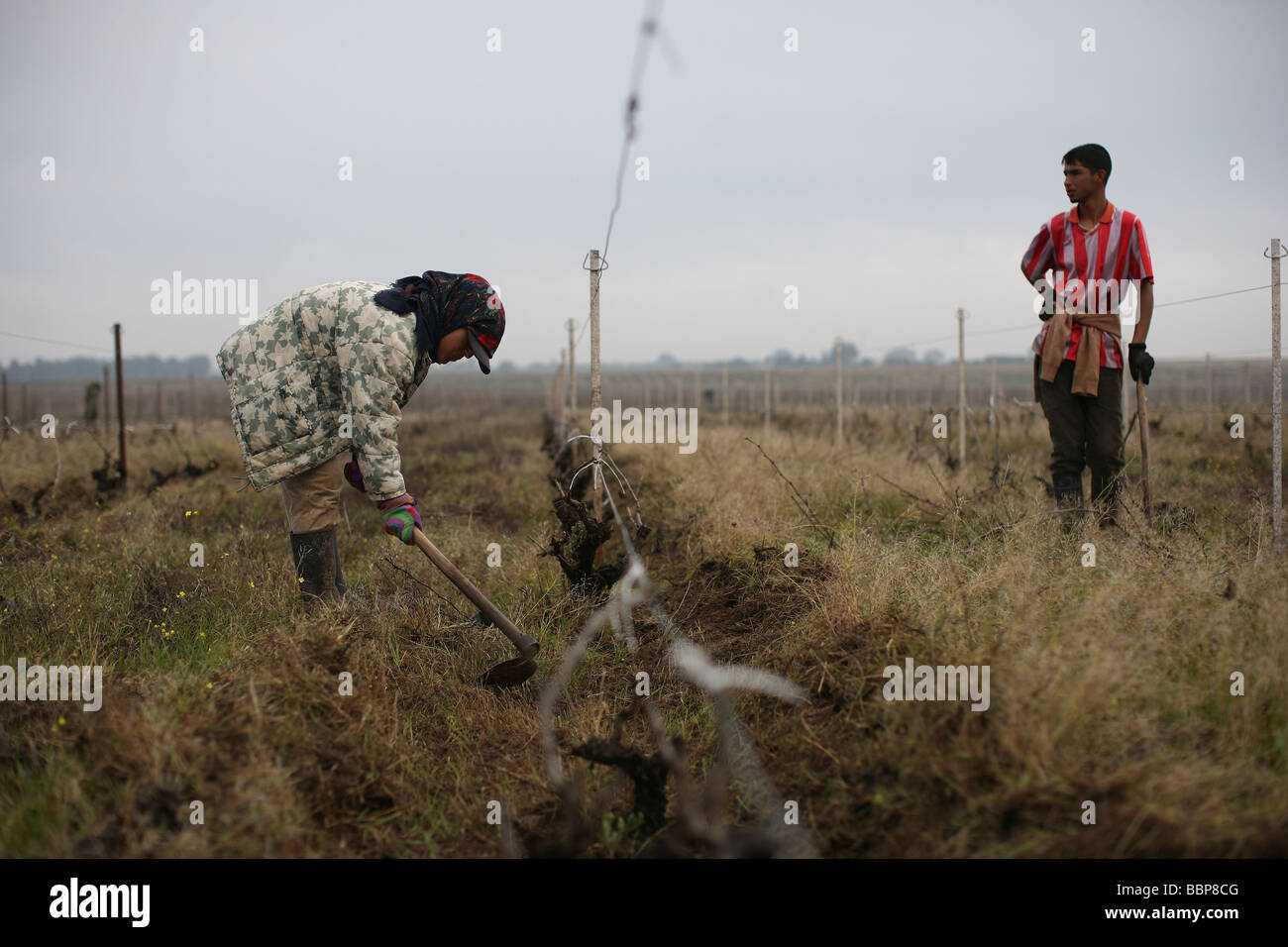 Women wearing veils hi-res stock photography and images - Alamy