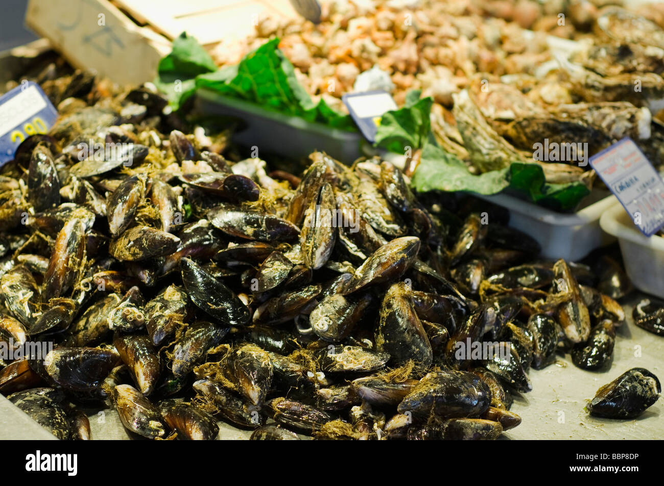 Boqueria market. Barcelona Stock Photo - Alamy