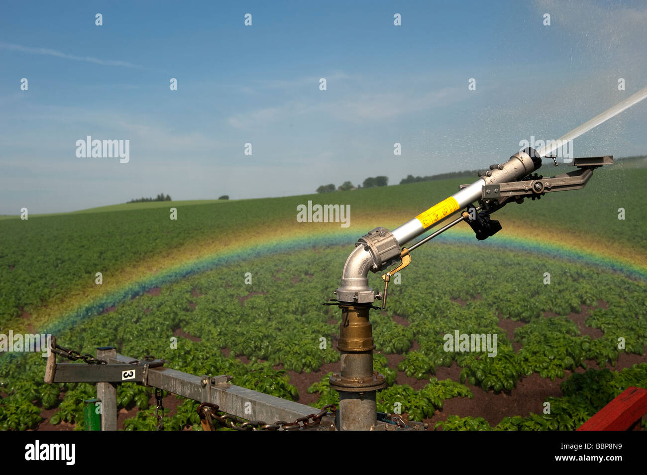 Water being sprayed onto potato crop Irrigation Stock Photo - Alamy