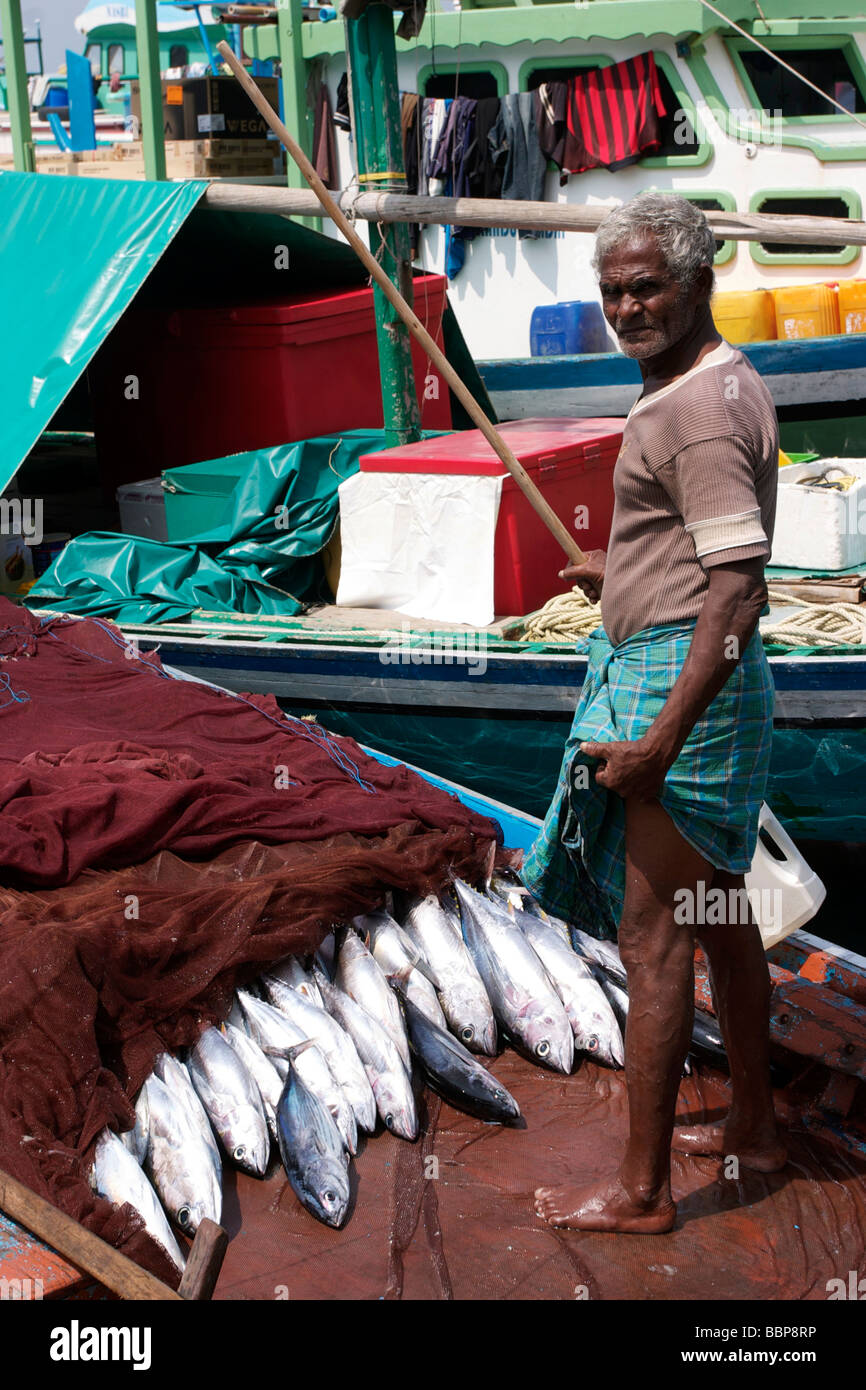 FISHERMAN IN THE PORT OF MALE, FISH, MALDIVES, INDIAN OCEAN Stock Photo ...