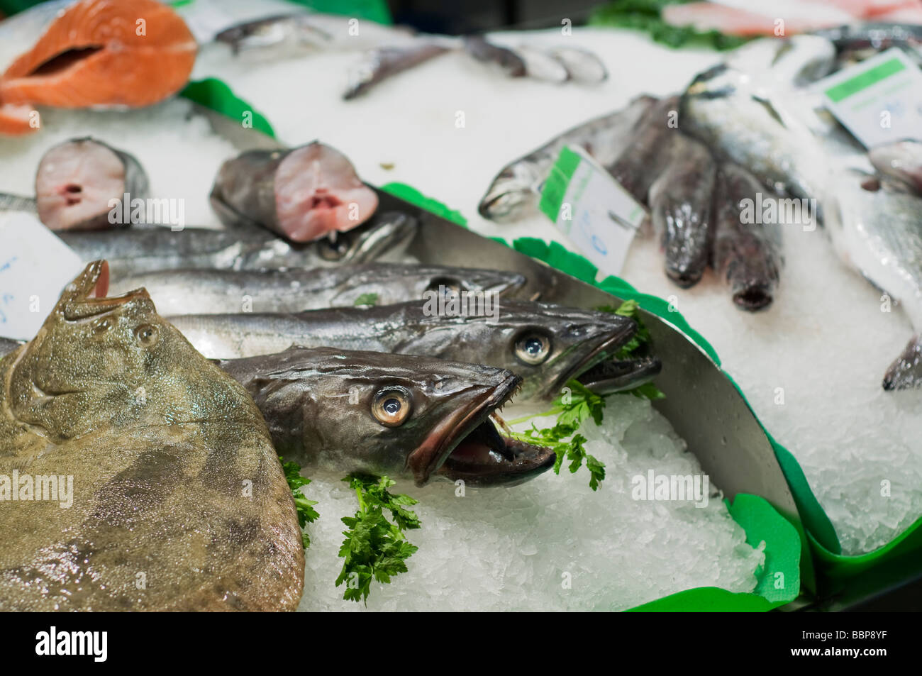 Fish. Boqueria market. Barcelona Stock Photo - Alamy