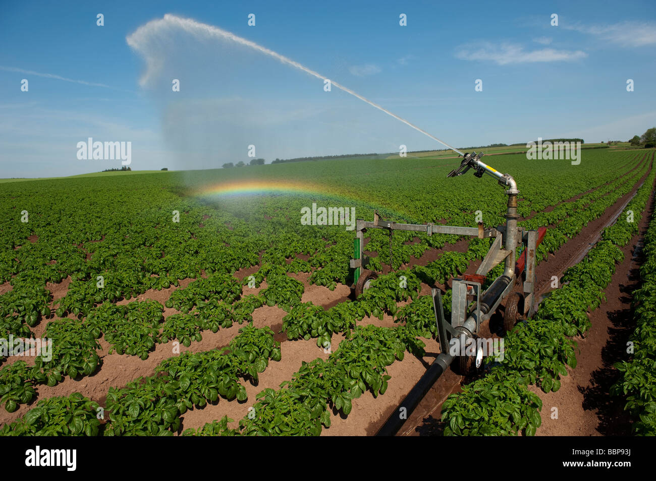 Watering potato crop using irrigation system Kelso Scottish Borders ...