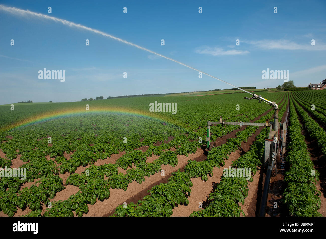 Watering potato crop using irrigation system Kelso Scottish Borders ...