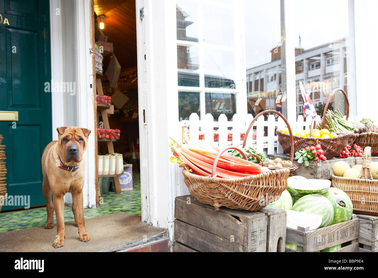 Grocers goods hi-res stock photography and images - Alamy