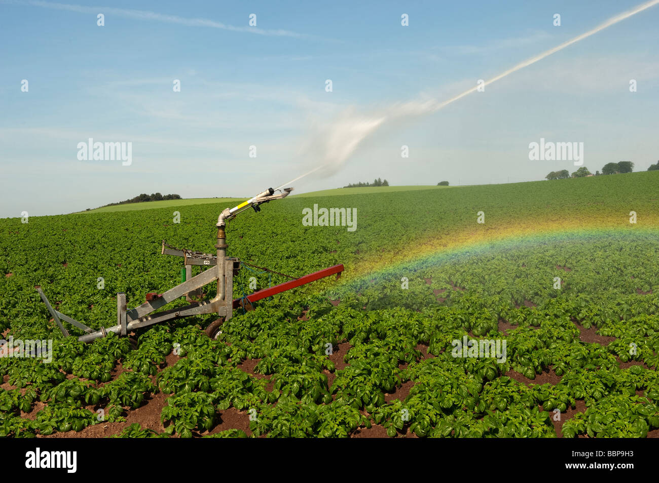 Watering potato crop using irrigation system Kelso Scottish Borders ...