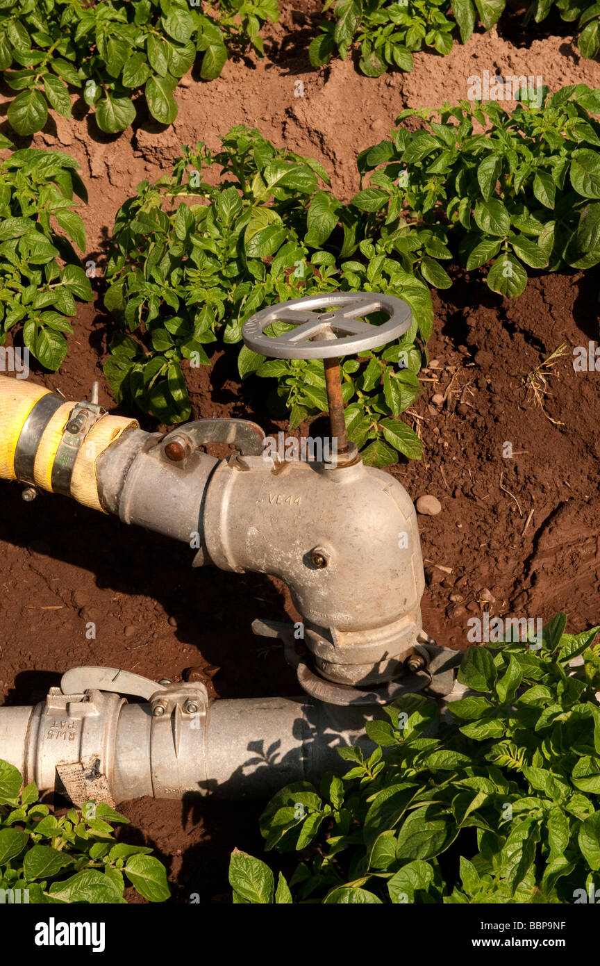 Stopcock on a waterwheel travelling irrigation system Kelso Scottish ...