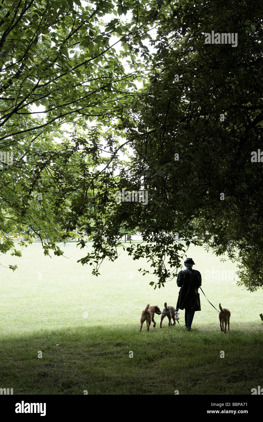 Woman walking with three dogs hi-res stock photography and images - Alamy