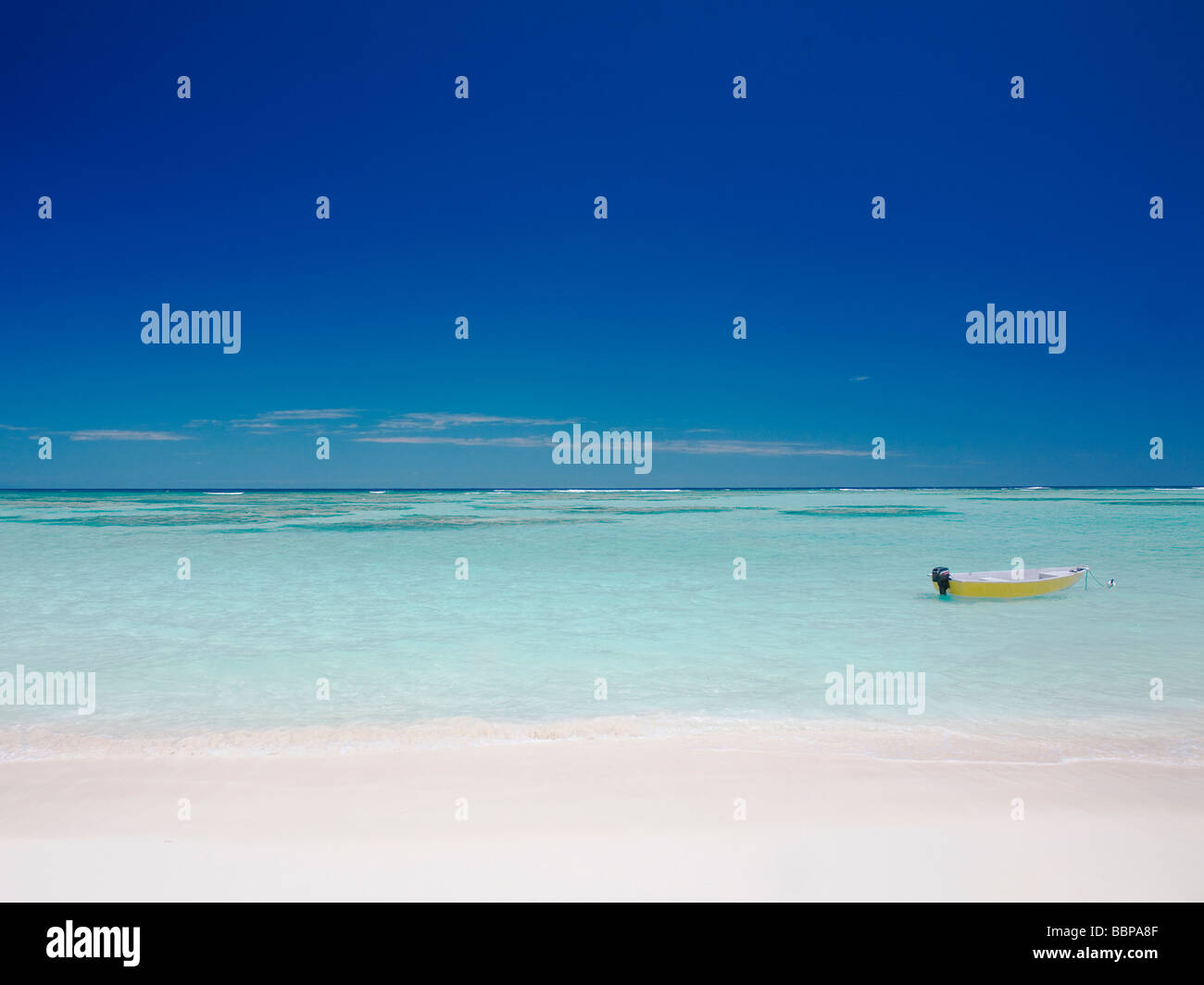 British Virgin Islands Tortola palm tree and seascape Stock Photo - Alamy
