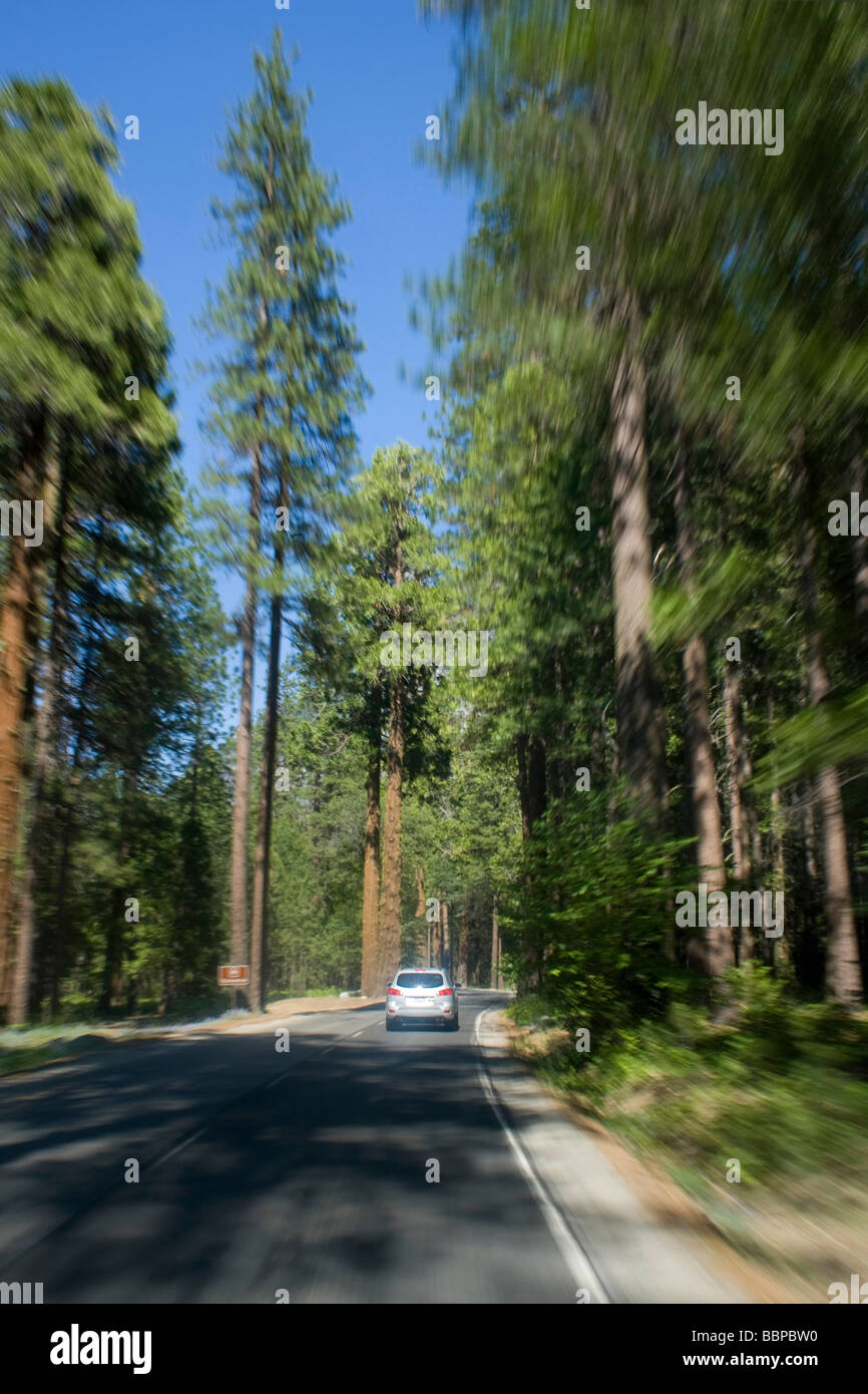 Yosemite sam hi-res stock photography and images - Alamy