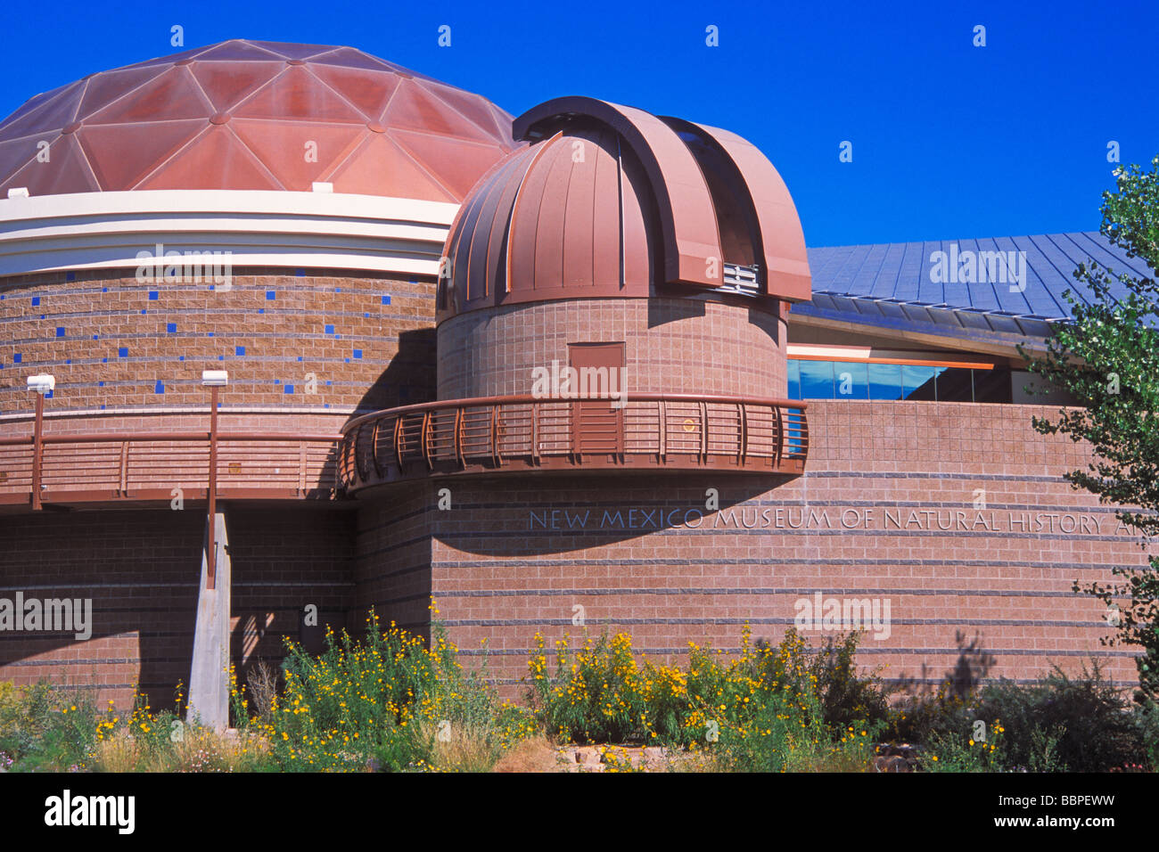 The New Mexico Museum of Natural History Albuquerque New Mexico Stock ...