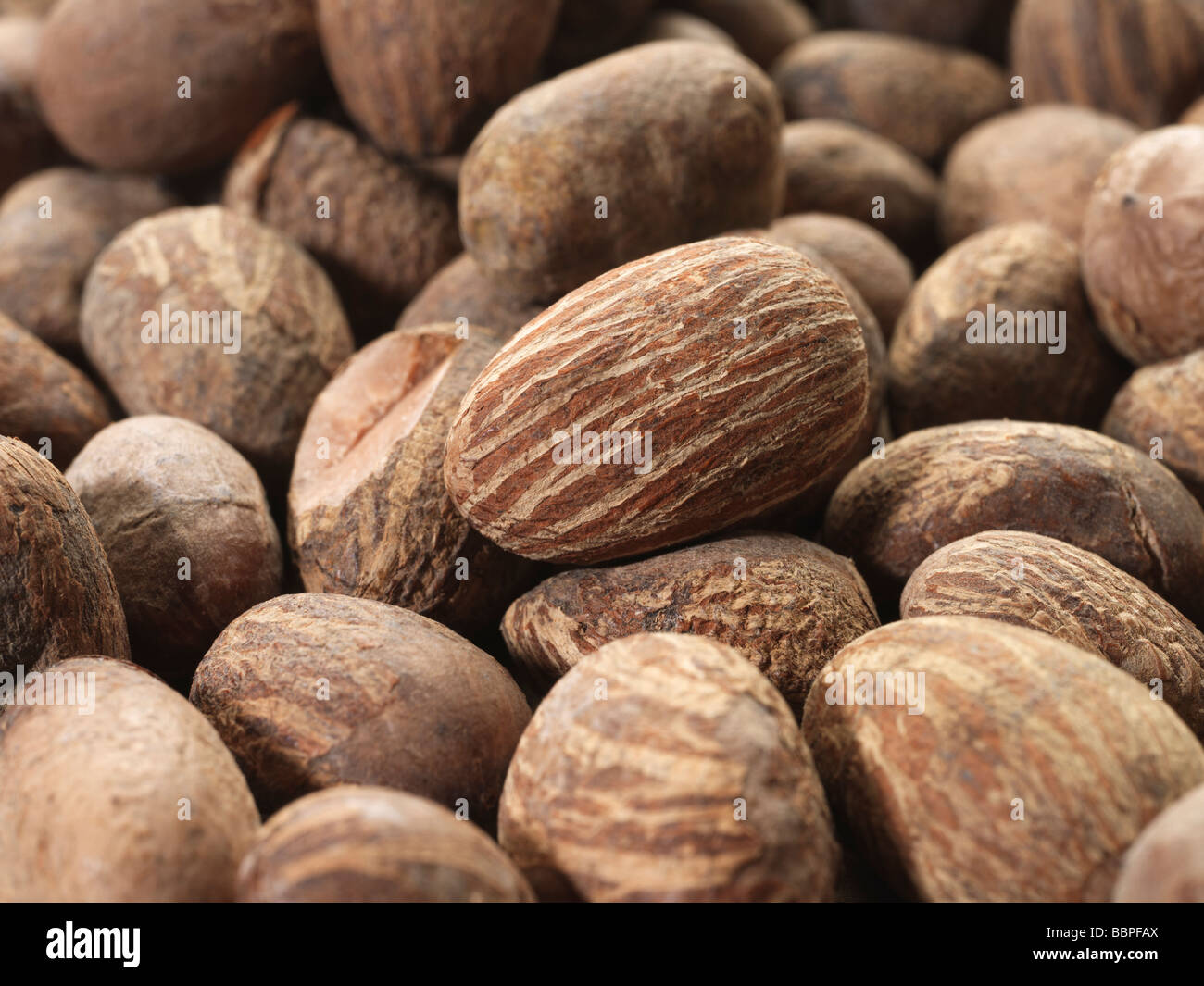 Shea nuts hi-res stock photography and images - Alamy