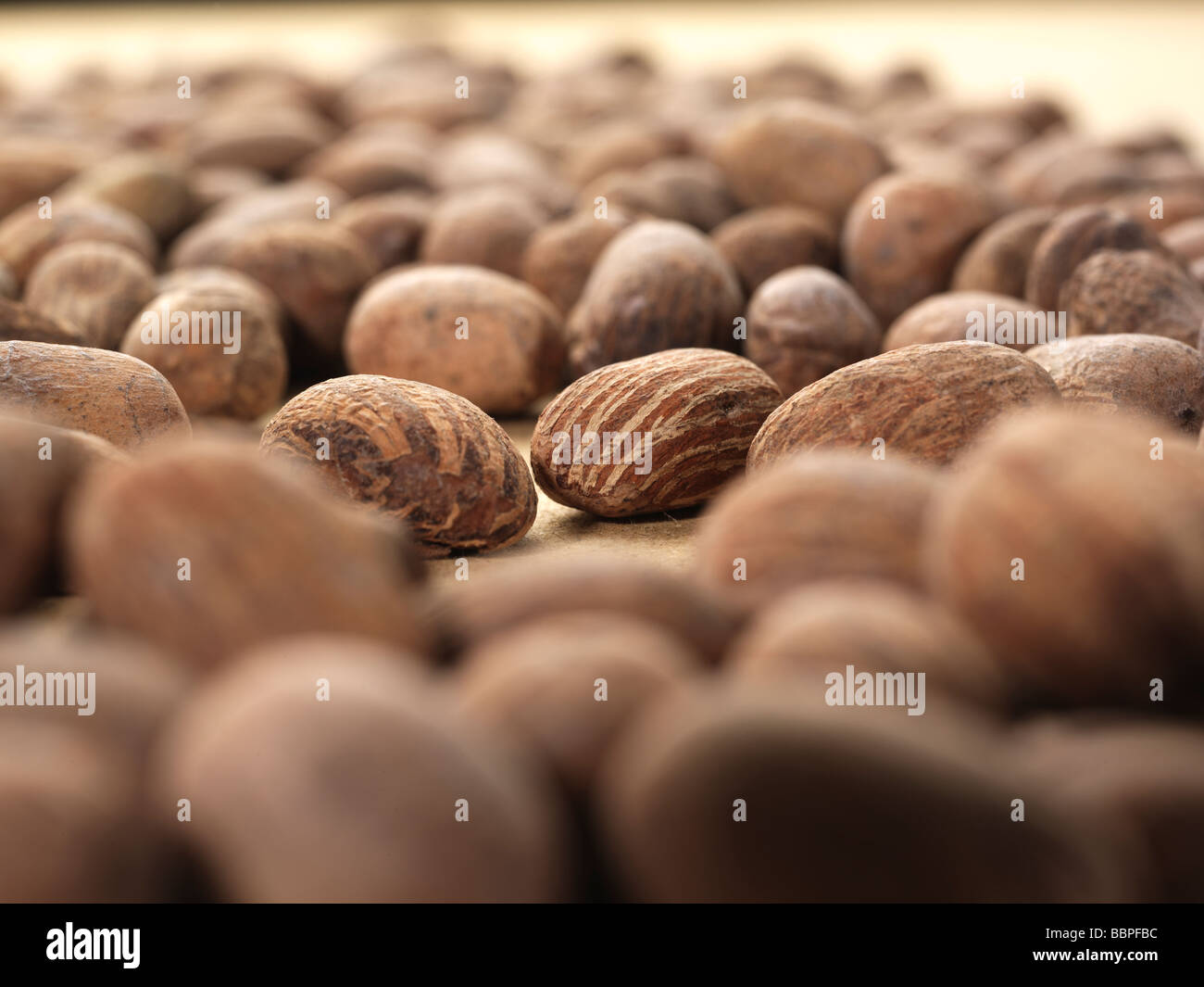 Shea butter hi-res stock photography and images - Alamy