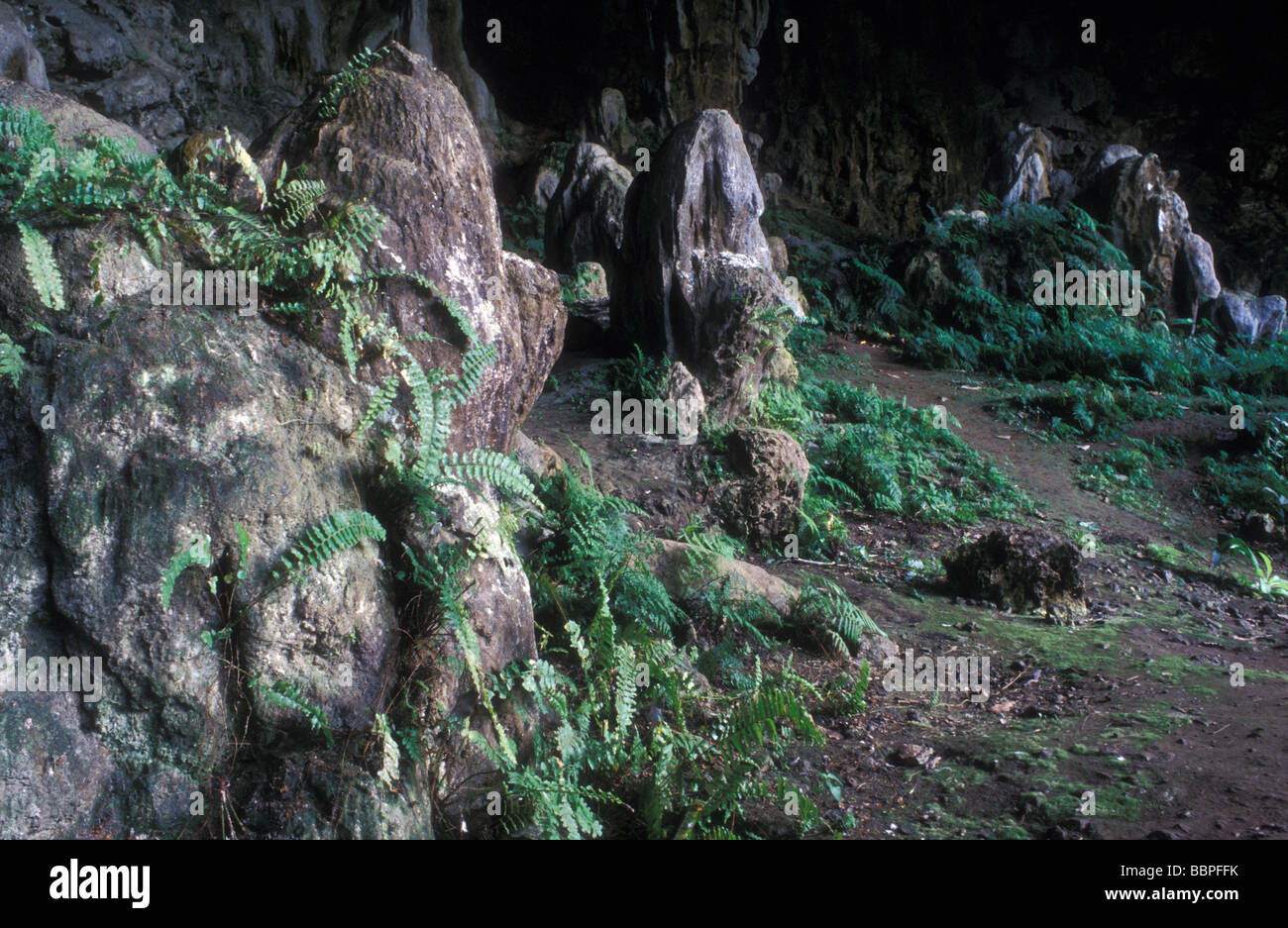 Victoria Cave High Resolution Stock Photography and Images - Alamy