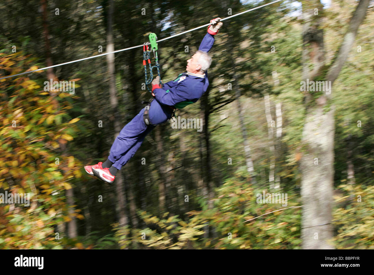 ACCROBRANCH, TREE WALKING THROUGH THE BRANCHES, AVENTURE PARK, NANCAY ...