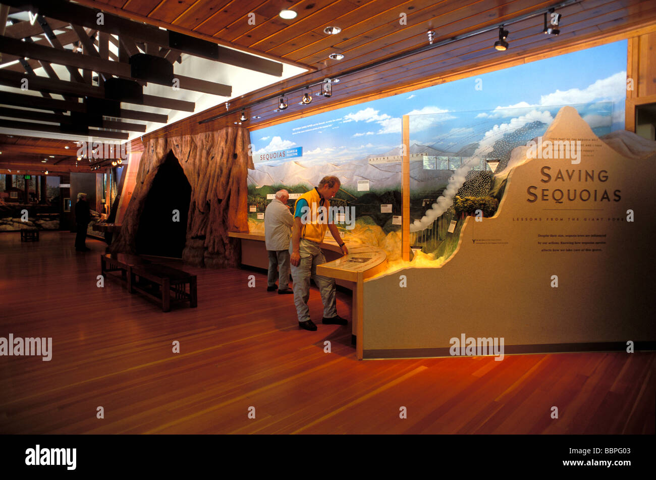 Visitors viewing displays in the Giant Forest Museum Sequoia National ...