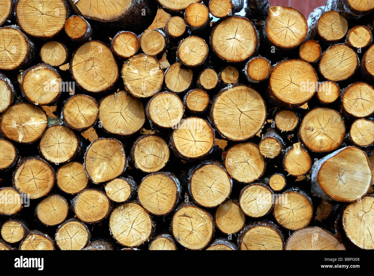 Dunfield hi-res stock photography and images - Alamy