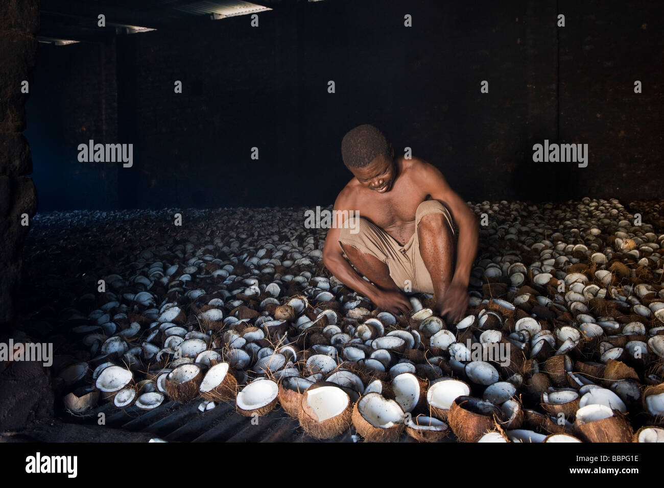 Copra drying hi-res stock photography and images - Alamy