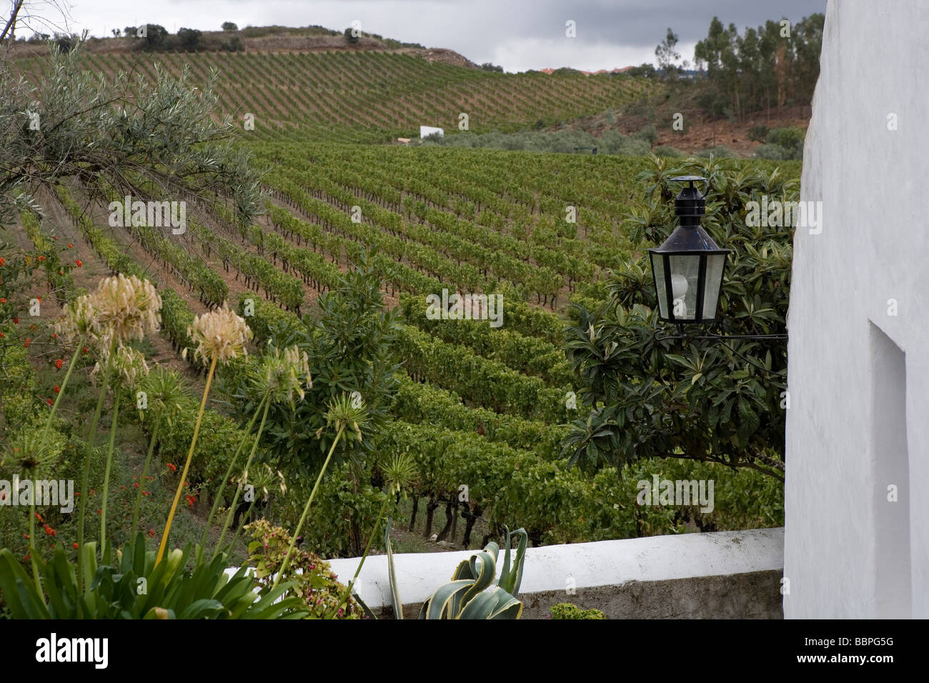 São Gregório Village Alentejo Portugal Europe Stock Photo - Alamy