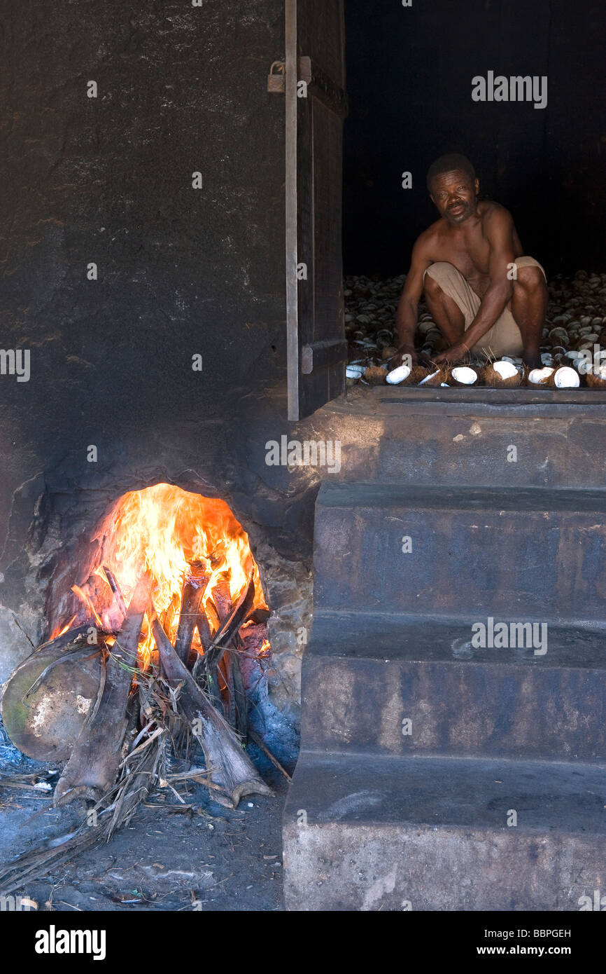 Drying copra hi-res stock photography and images - Alamy