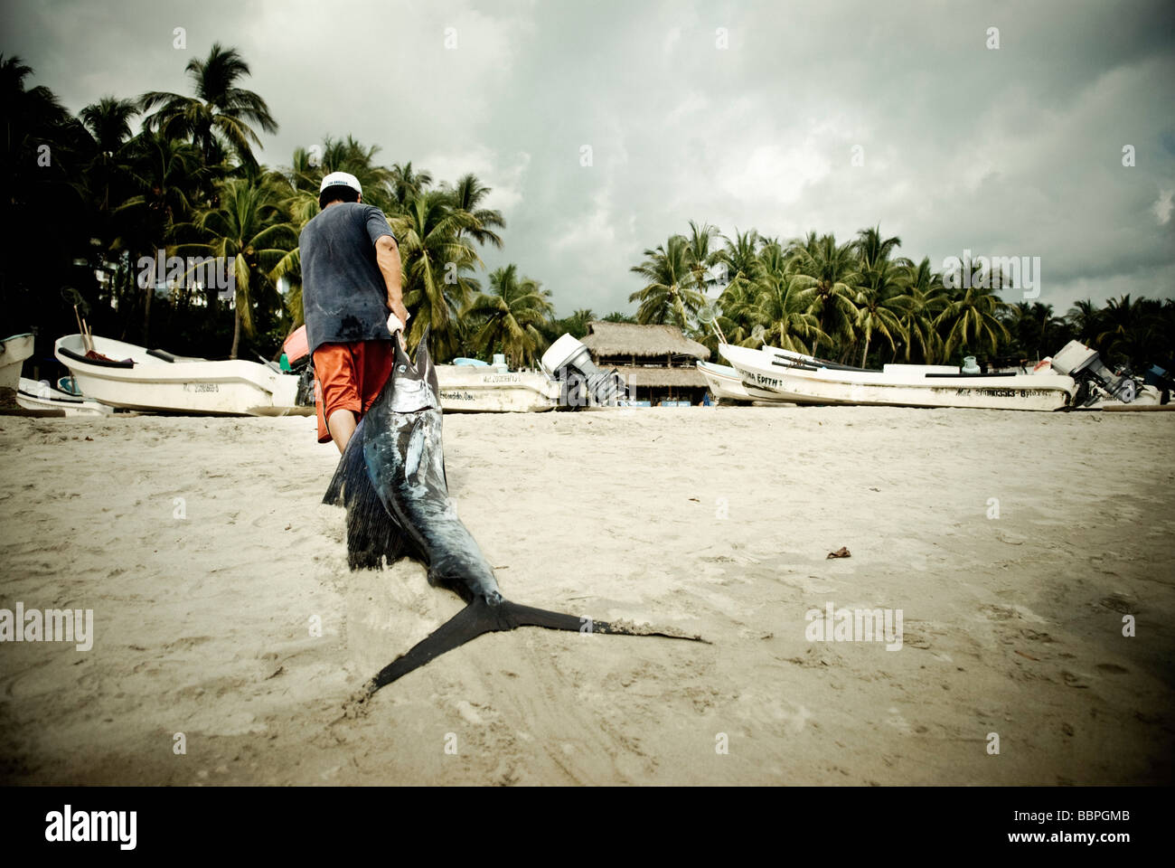Man dragging his marlin ashore hi-res stock photography and images - Alamy