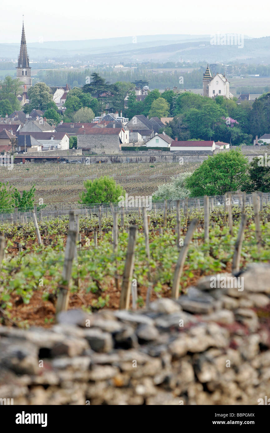 The town of meursault hi-res stock photography and images - Alamy