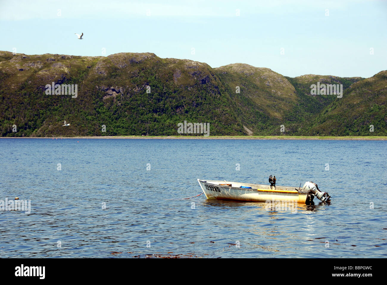 Terrenceville Newfoundland Canada Stock Photo - Alamy
