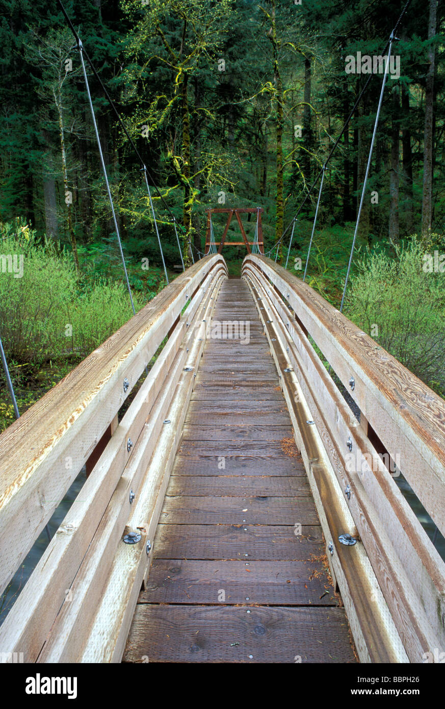 Wooden footbridge crossing Eagle Creek Columbia River Gorge National ...