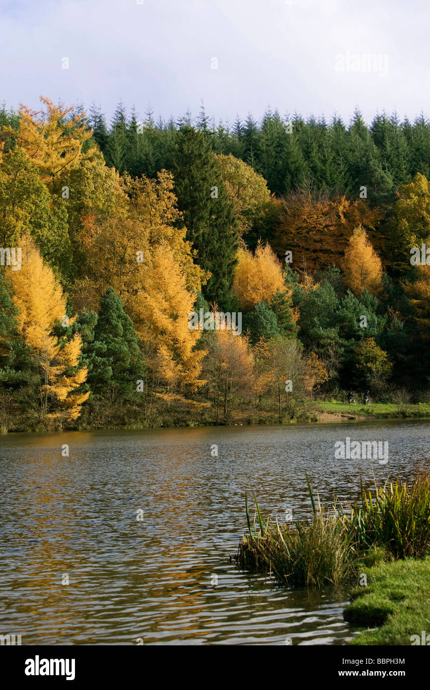 2008 england hi-res stock photography and images - Alamy