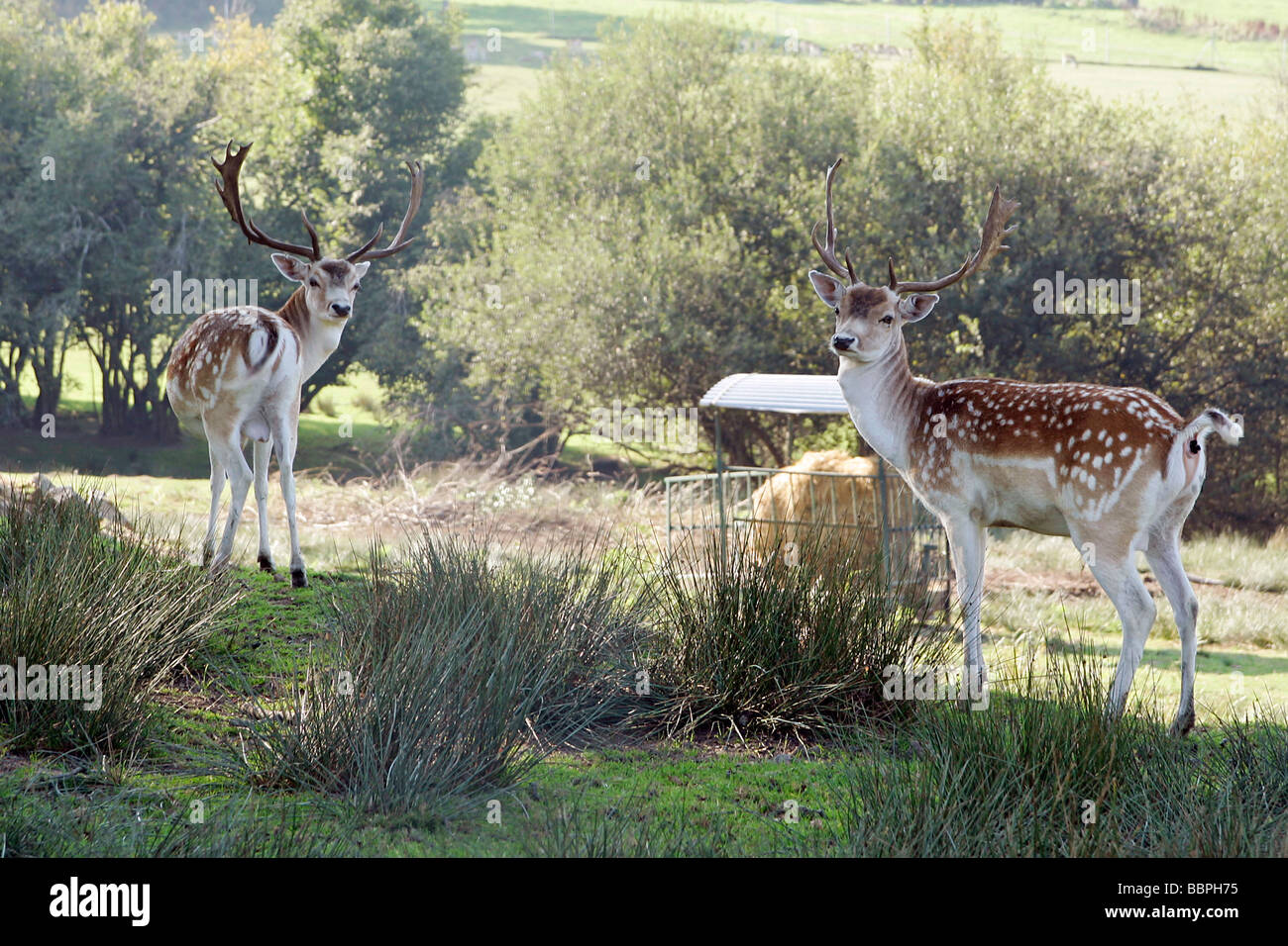 Coux High Resolution Stock Photography and Images - Alamy