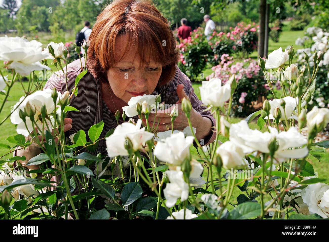 WOMEN SMELLING A ROSE, ROSE GARDEN AT THE CHATEAU DE MISEREY, EURE (27 ...