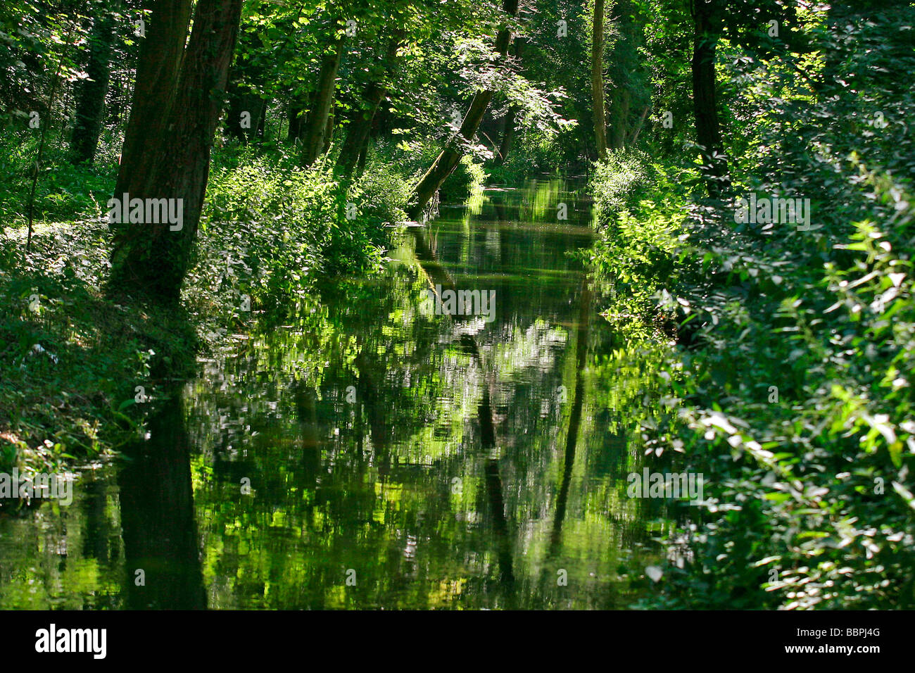 Voise hi-res stock photography and images - Alamy