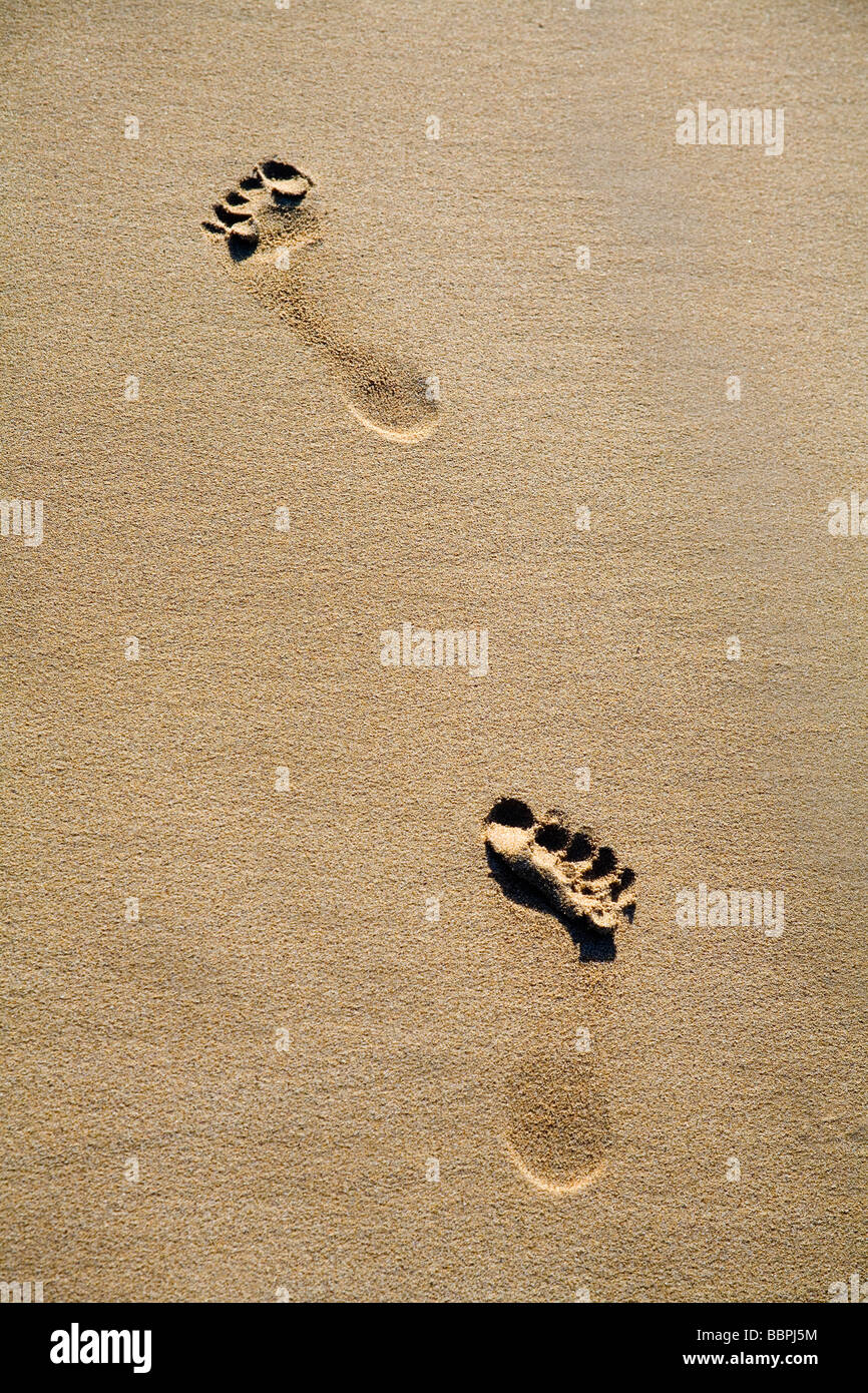 footsteps in sand Stock Photo - Alamy