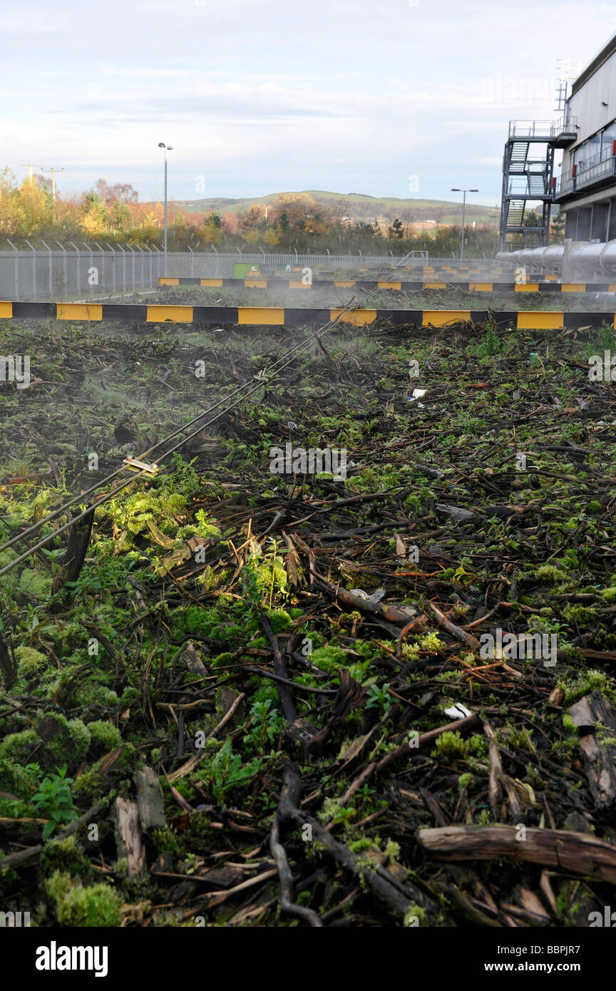 Biological filter hi-res stock photography and images - Alamy