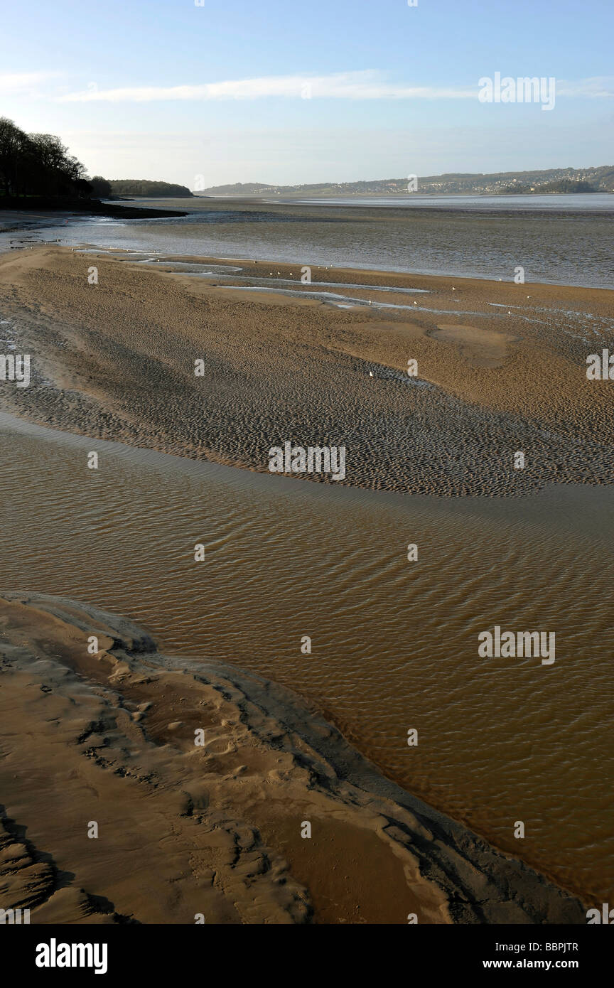 Quicksand in water hi-res stock photography and images - Alamy