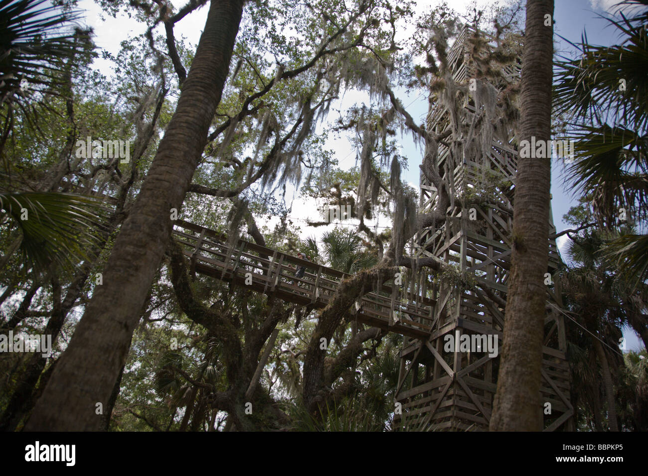 A canopy walkway leads to a viewing tower at the Myakka River State ...