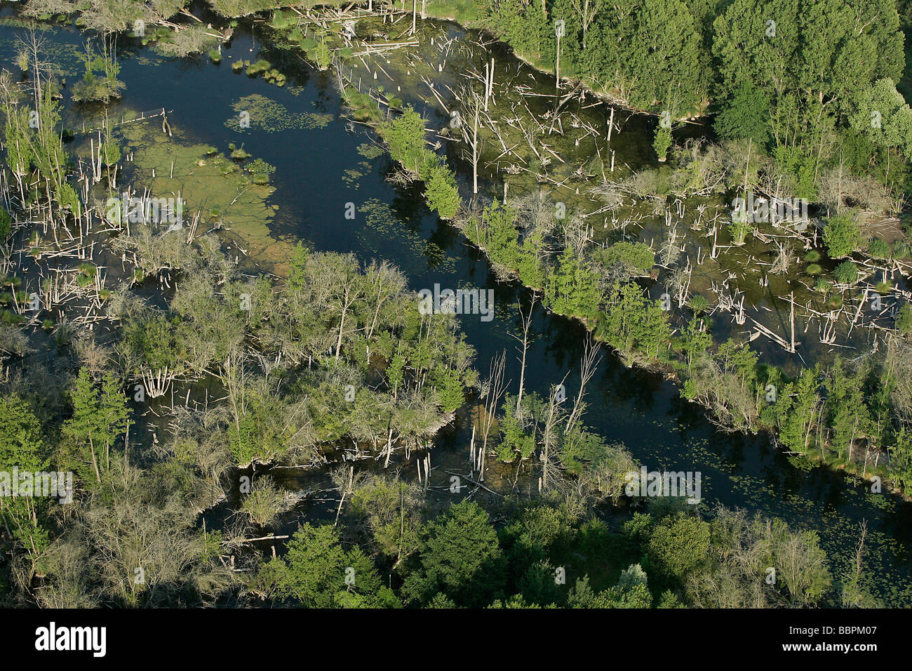 Conie High Resolution Stock Photography and Images - Alamy