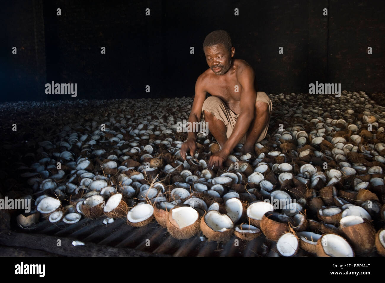 Copra drying hi-res stock photography and images - Alamy