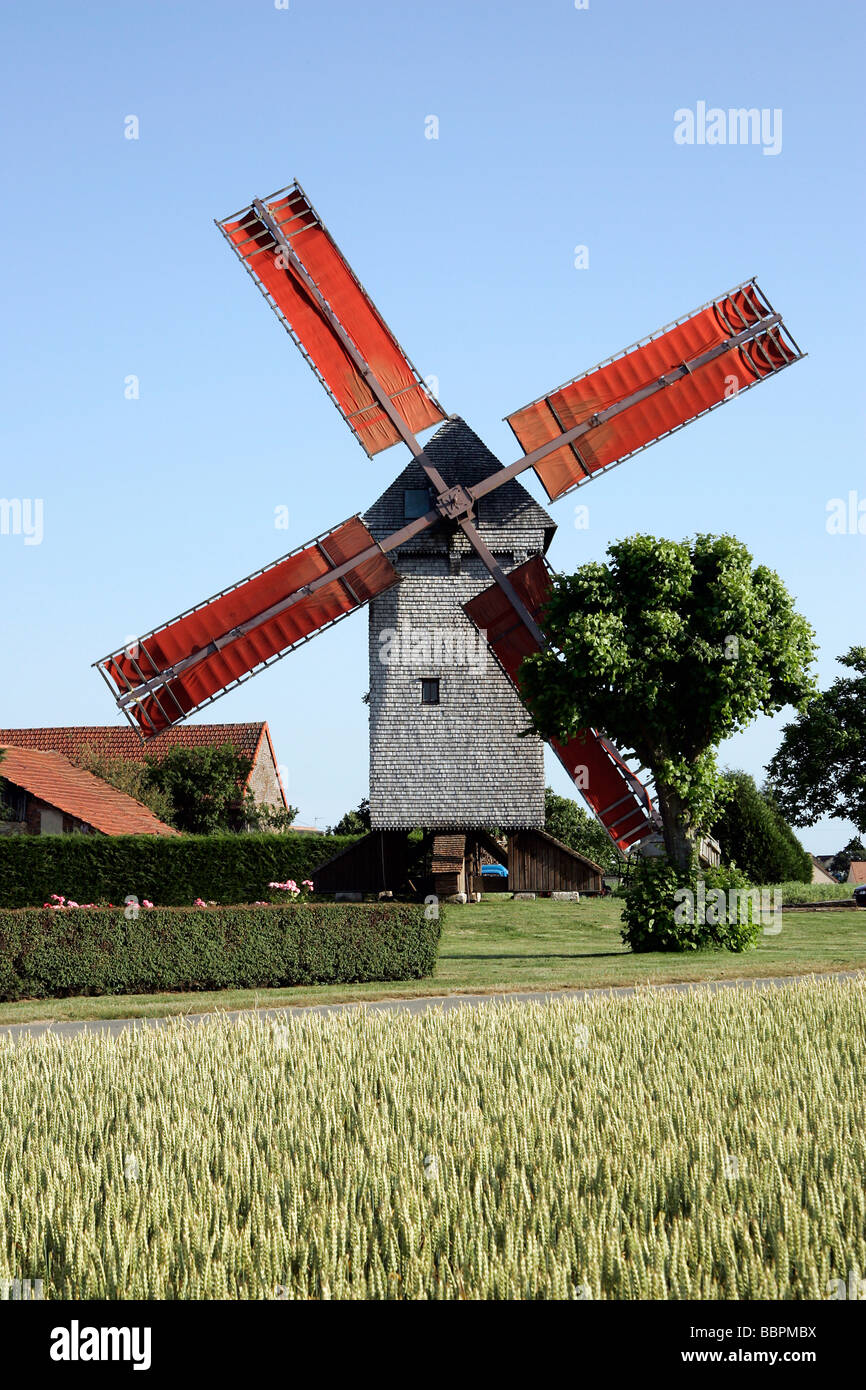 WINDMILL IN BOIS DE FEUGERES AND WHEAT FIELD, BEAUCE, EURE-ET-LOIR (28 ...