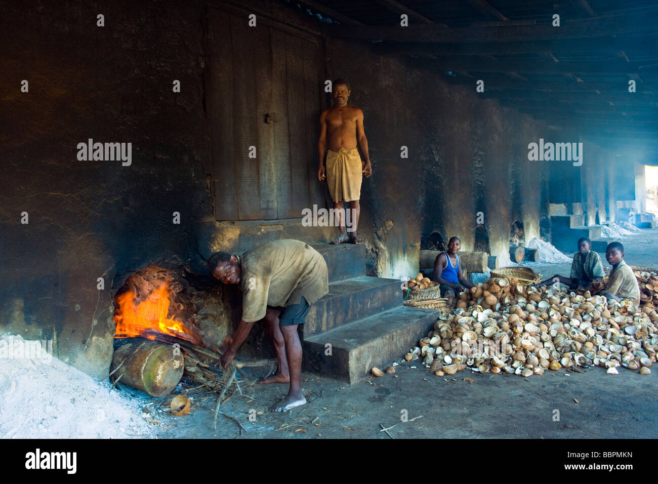 A worker makes a fire under a grill to dry copra Cocos nucifera ...