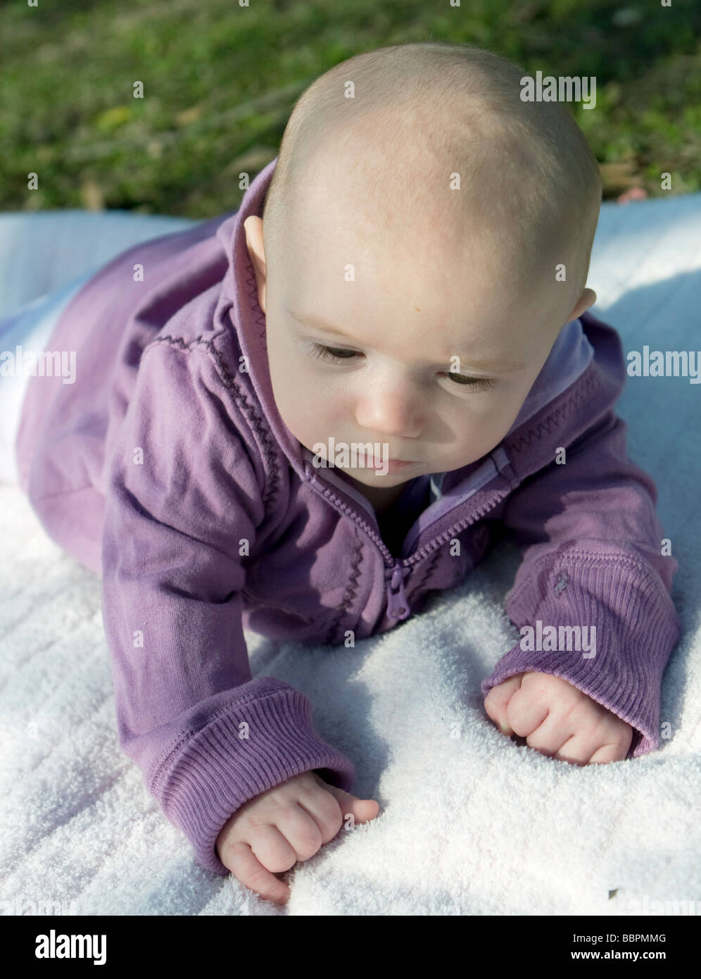 baby on stomach Stock Photo - Alamy