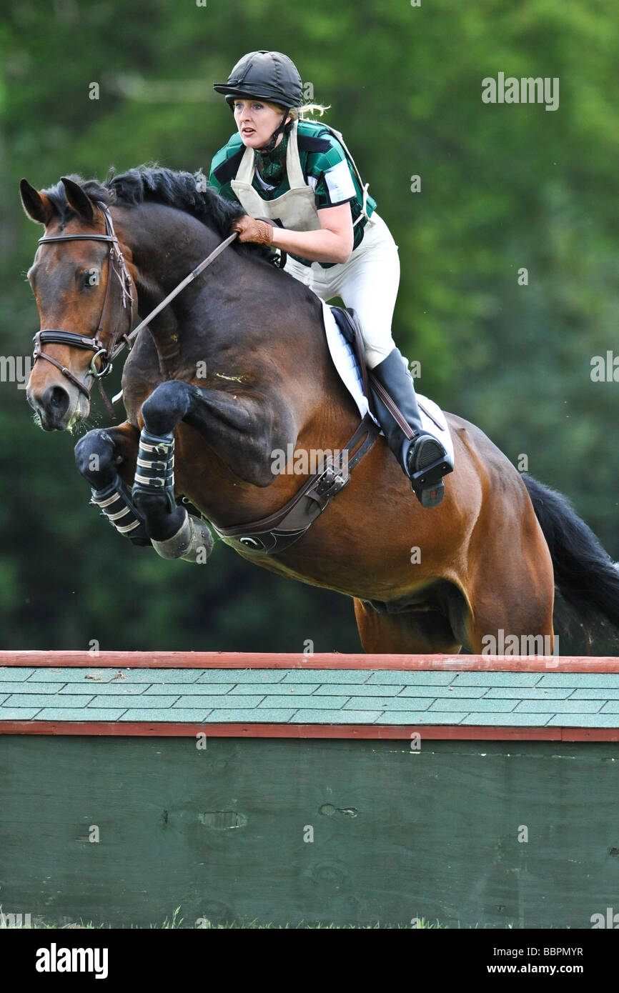 Eventing horse hi-res stock photography and images - Alamy